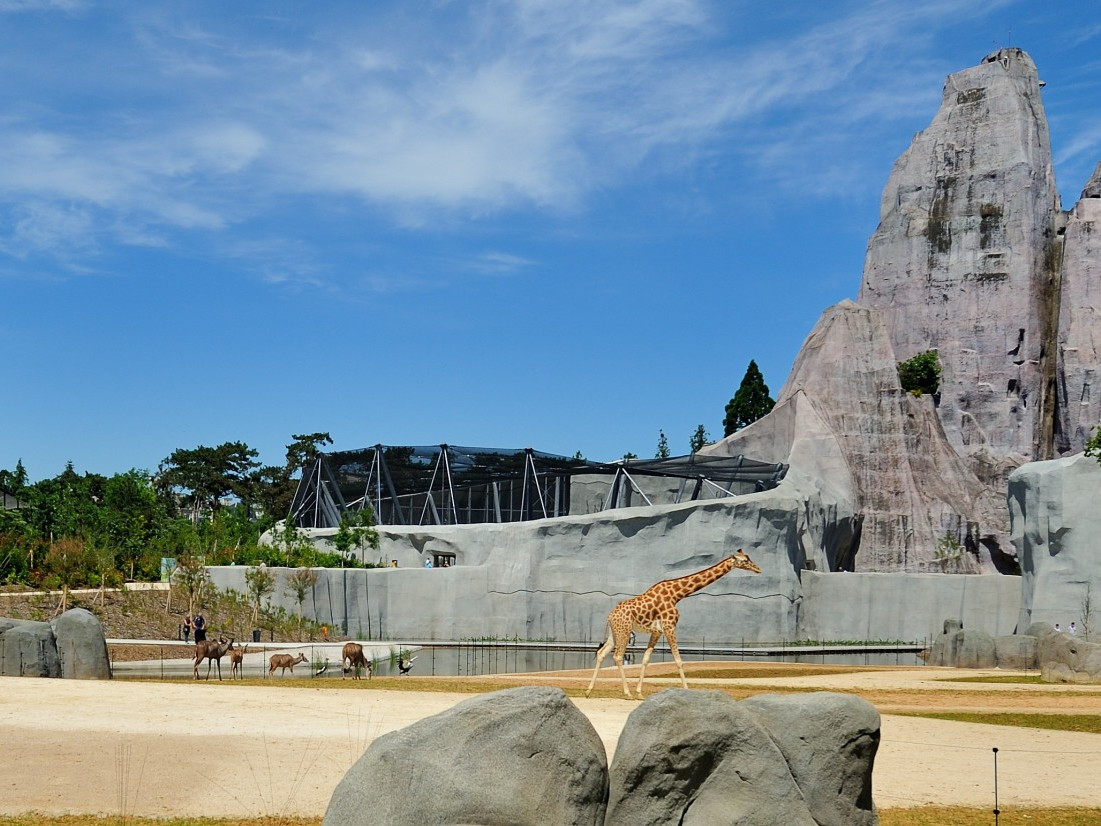 Zoo di Parigi Vincennes, Parco zoologico, info e biglietti